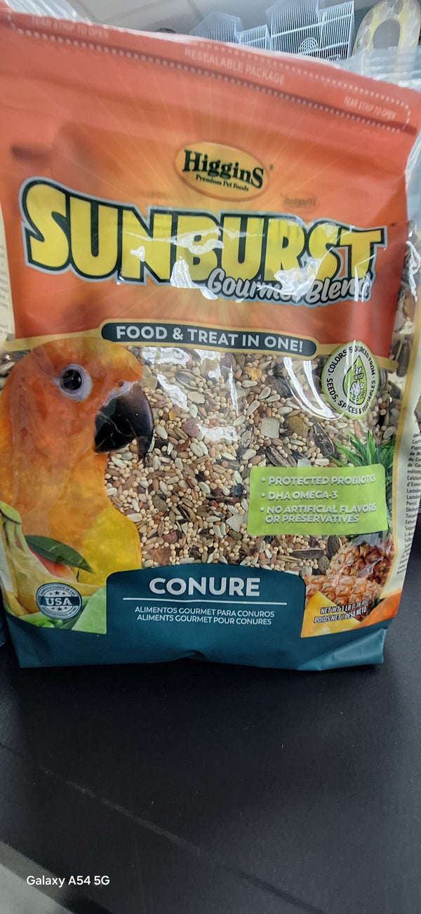 SunBurst Gourmet Blend Higgins conure – Brenda & Billy's Aviary, Inc.®