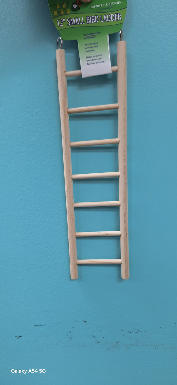 12" Small Bird Ladder – Brenda & Billy's Aviary, Inc.®